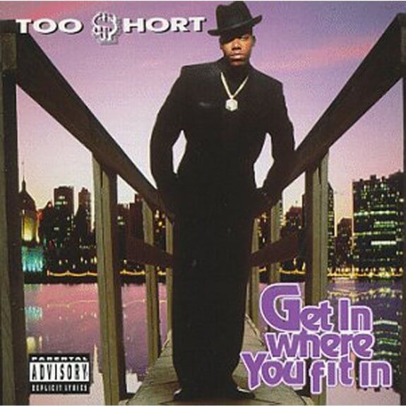 Top 40 Hip Hop Albums 1993 - Hip Hop Golden Age Hip Hop Golden Age